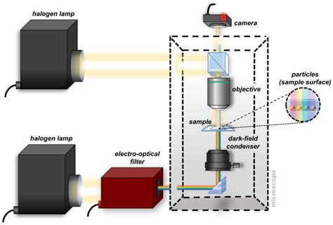 Nanomaterials Free Full Text Amplitude Resolved Single Particle Spectrophotometry A Robust