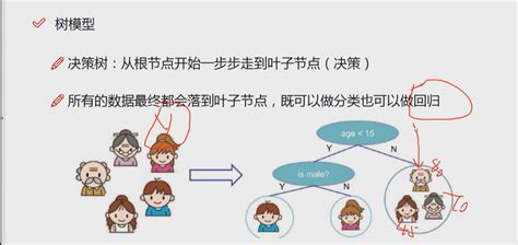 机器学习 树模型 决策树系列 知乎