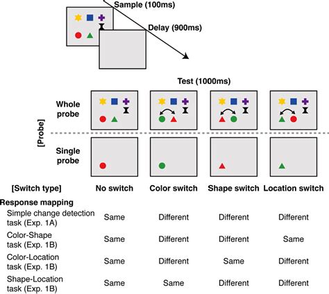 Pdf Feature Specific Encoding Flexibility In Visual Working Memory