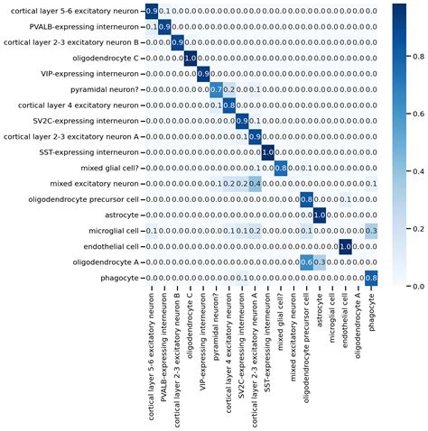 Fine Tuning On Pre Trained Model For Cell Type Annotation — Scgpt 0 2 1 Documentation