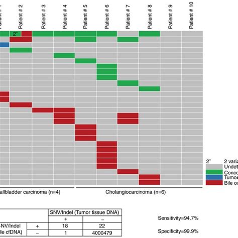 Cfdna Fragment Distributions Representative Electropherogram For A Btc Download Scientific