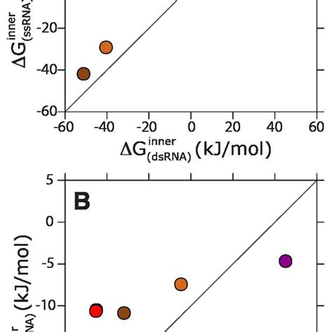Mg 2 Binding Affinities On A Dsrna Vs Ssrna Plot A Shows Inner Download Scientific Diagram