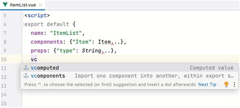 Vuejs Intellij Idea Documentation