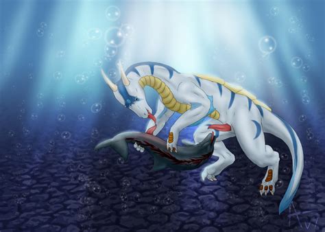 Rule 34 69 2012 Avilon Cetacean Dolphin Dragon Fellatio Feral Gay