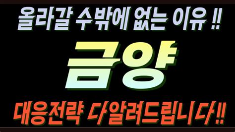 주식 금양 올라갈 수밖에 없는 이유 대응전략 다 알려드립니다 Youtube