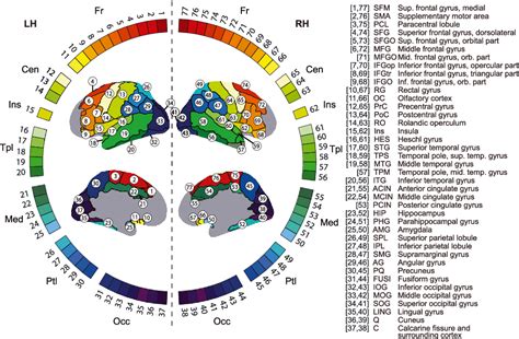 Figure 1 From Task And Stimulus Related Cortical Networks In Language Production Exploring