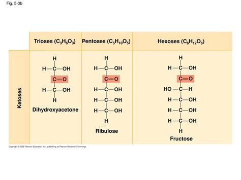 The Structure And Function Of Large Biological Molecules Ppt Download