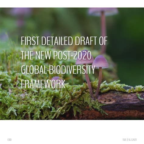 First Detailed Draft Of The New Post 2020 Global Biodiversity Framework