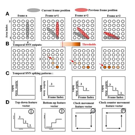 Figure E The Temporal Snn With Feature Index H Top Down Computing