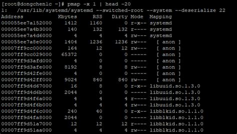 73 Process Management Pmap And Pstree Dong A Place To Track My