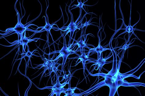 Unveiling The Future Time Series Forecasting With Arima By Devaang Nadkarni Aug 2023 Medium