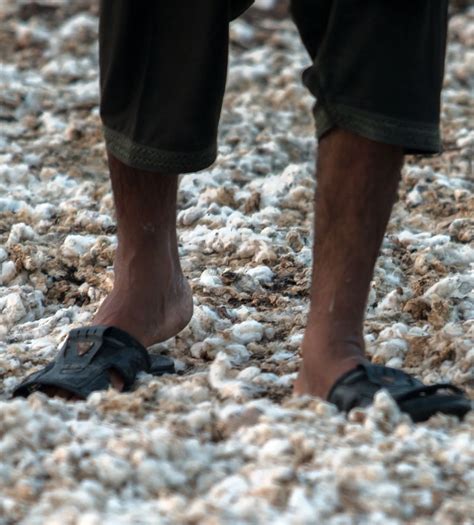 Le Temps Presse Pour Combler Le Fossé Entre Lambition Et Laction Dans