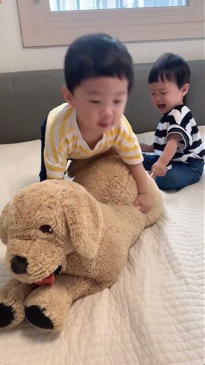 쌍둥이 사랑이 너무 귀찮은 강아지🐶우리집 애개육아🐾 Youtube