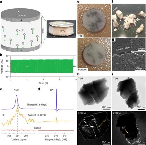 Dendrite Formation In Solid State Batteries Arising From Lithium Plating And Electrolyte