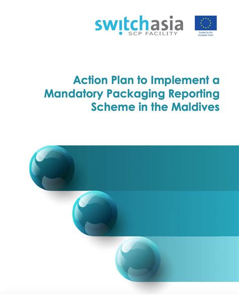 Action Plan To Implement A Mandatory Packaging Reporting Scheme In The