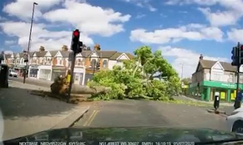 Shocking Moment Couple Narrowly Escape Being Crushed By A Tree As It Is Blown Down Daily Mail