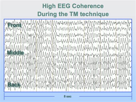 Skeptics On The Transcendental Meditation Technique • Criticism • Reviews • Responses To