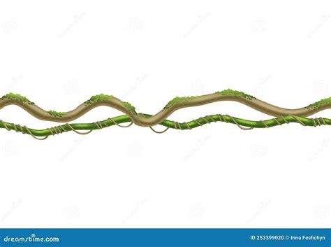 Jungle Creeper Silhouettes Tropical Forest Lianas Rainforest Hanging Sprouts Climbing Liana