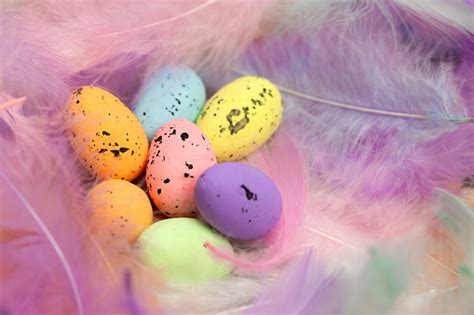 배경에 파스텔 색깔의 깃털이있는 다채로운 부활절 달걀 부활절 봄 인사말 카드 또는 배경 디자인에 대한 종교 개념 부드러운 밝은 색상 4월에 대한 스톡 사진 및 기타 이미지