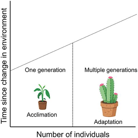 Helping Crop Plants Adapt To Harsher Environments · Frontiers For Young