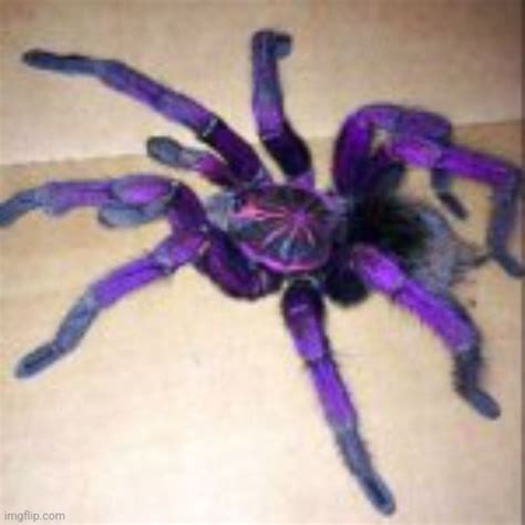 I Just Has The Best Sex Of My Life Imgflip