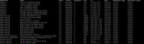 User Master Ip To Access Pods In Nginx Ingress Controller · Issue 5119