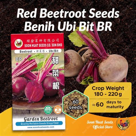 Small Pack Br Benih Ubi Bit Merah Red Beetroot Soon Huat Seeds