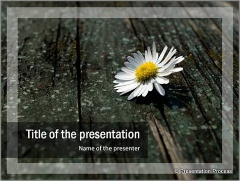 Simple Powerpoint Border Templates A Clean Simple Slide Design Can Help You Deliver Your