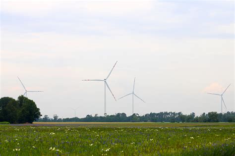 시골의 풍차 녹색 에너지 개념 전기를 생산하는 풍력 터빈 개발에 대한 스톡 사진 및 기타 이미지 개발 굽이치는 풍경 깨끗한 Istock
