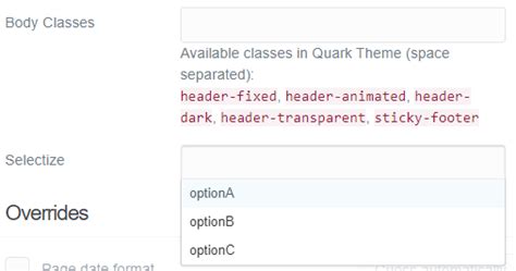 selectize field drops custom values after saving refreshing input · issue 1933 · getgrav grav