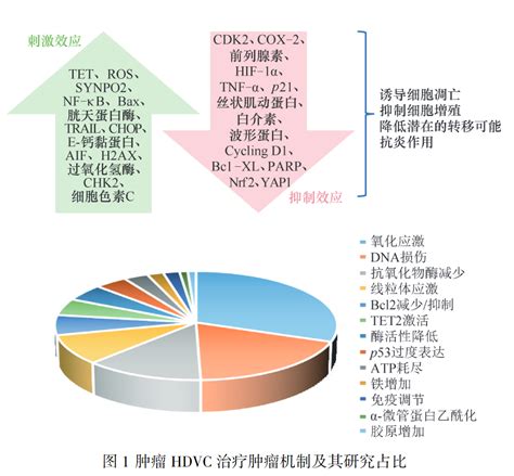维生素c能抗癌？诺奖得主和顶刊吵了25年，我国今年发布专家共识凤凰网健康凤凰网