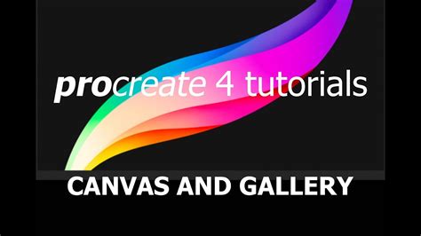 procreate 4 tutorial how to create a canvas and make the most out of