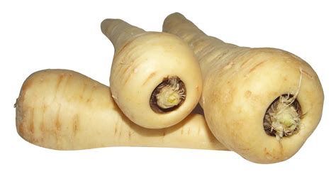 Parsnip Png Image Parsnips Vegetables Growing Parsnips