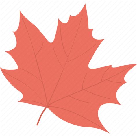 Autumn Leaf Fall Leaf Leaf Maple Maple Leaf Icon