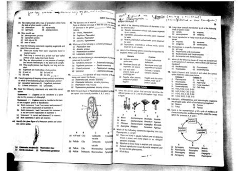 Biological Classification Imp Questions 1 Pdf
