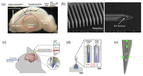 A Review Research Progress Of Neural Probes For Brain Research And