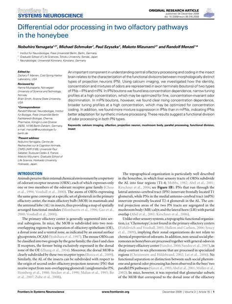 Pdf Differential Odor Processing In Two Olfactory Pathways In The