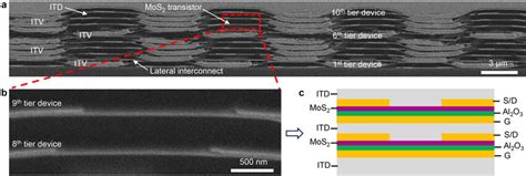 Cross Sectional Scanning Electron Microscope Characterization A
