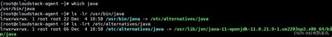 centos安装openjdk11并配置java home 阿里云开发者社区
