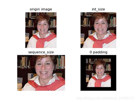 pytorch 三 ：数据变换 transforms pytorch 犬冢紬希 2048 ai社区