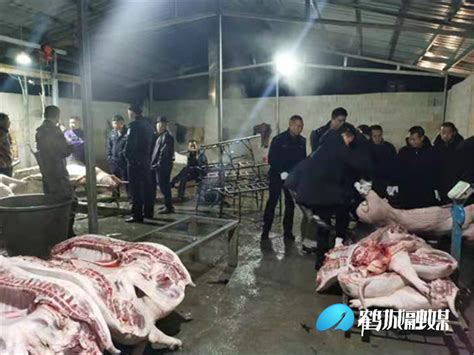 鹤城区农业农村局依法端掉一家大型私屠滥宰窝点 部门动态 鹤城区新闻网
