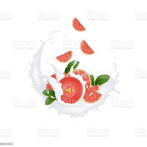 주스 우유 요구르트 자 몽 슬라이스 튀 육즙 자 몽 스플래시 포장 템플릿입니다 광고 배너입니다 떨어지는 조각 3차원 형태에 대한 스톡 벡터 아트 및 기타 이미지 Istock