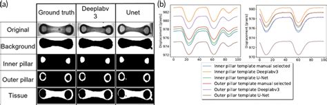Segmentation By Two Convolutional Neural Networks Cnns A Download Scientific Diagram