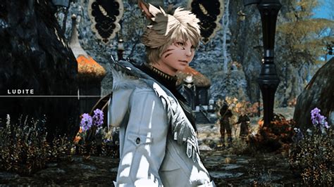 Will I Get Banned For Using Mods In Ffxiv Gamerevolution