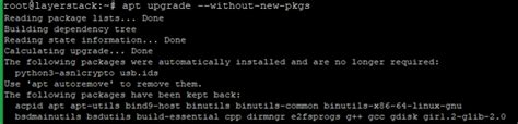 Layerstack Tutorials Layerstack How To Upgrade From Debian 10 To