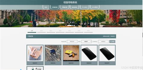 Java计算机毕业设计校园寻物系统（开题报告源码论文） Csdn博客
