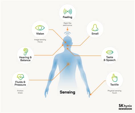 [dgist 시리즈 3편] 미래 로봇에서 반도체 기술의 역할 Sk Hynix Newsroom