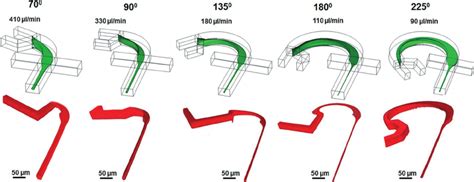 The 3d Architecture Of The Sample Flow During The “ Microfluidic Download Scientific Diagram