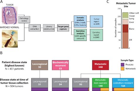 Figure 1 From Prospective Genomic Profiling Of Prostate Cancer Across Disease States Reveals