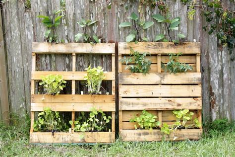 Tree Spacing Calculator Treeier